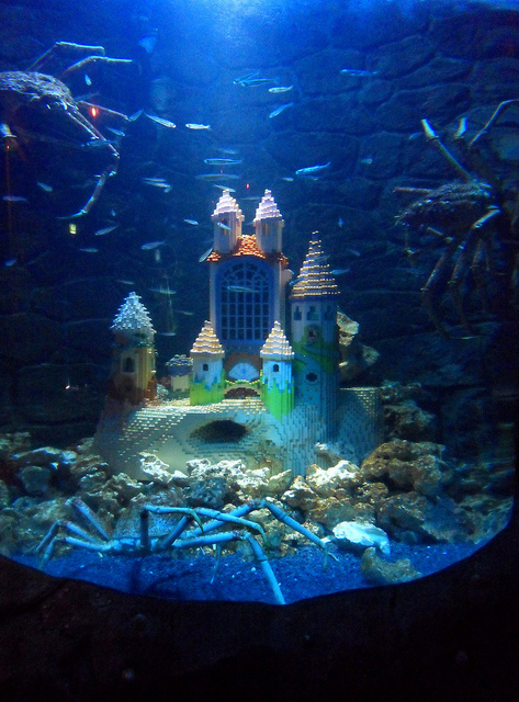 Castles | Barrier Reef